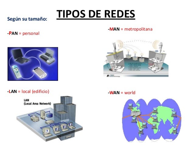 Encogimiento Profesor De Escuela Humedad Clasificacion De Las Redes