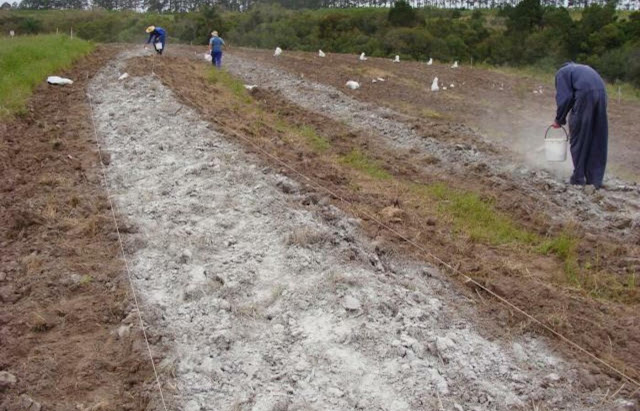 Rochagem Na Agricultura Saiba O Que é E Tudo O Que Envolve O Processo