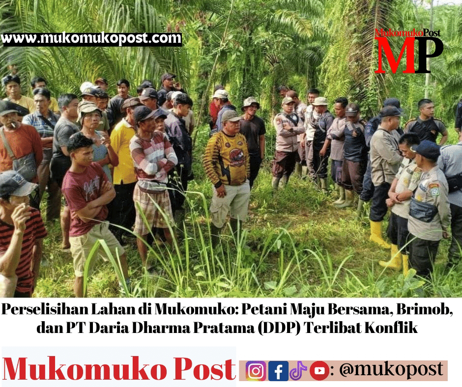 Perselisihan Lahan Di Mukomuko Petani Maju Bersama Brimob Dan Pt