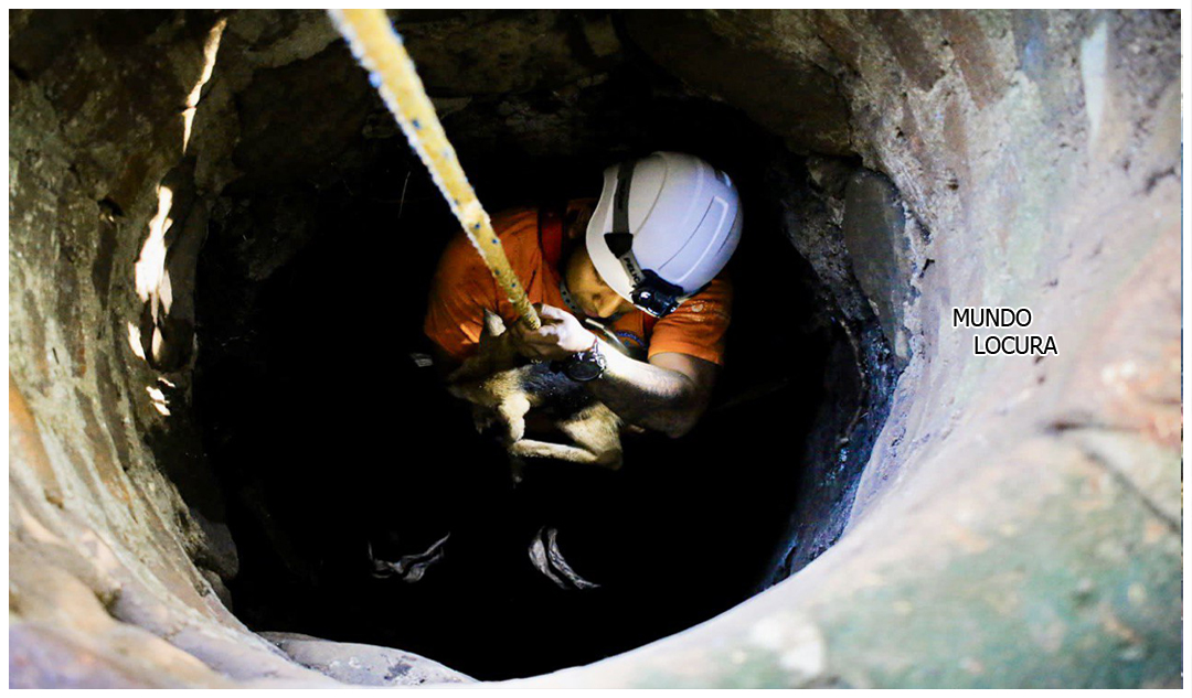 El Salvador Rescatan A Canina Que Cayó A Un Pozo De Agua De