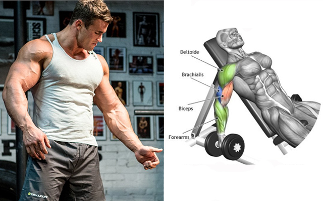 The 5 Best Bicep Exercises For Massive Arms