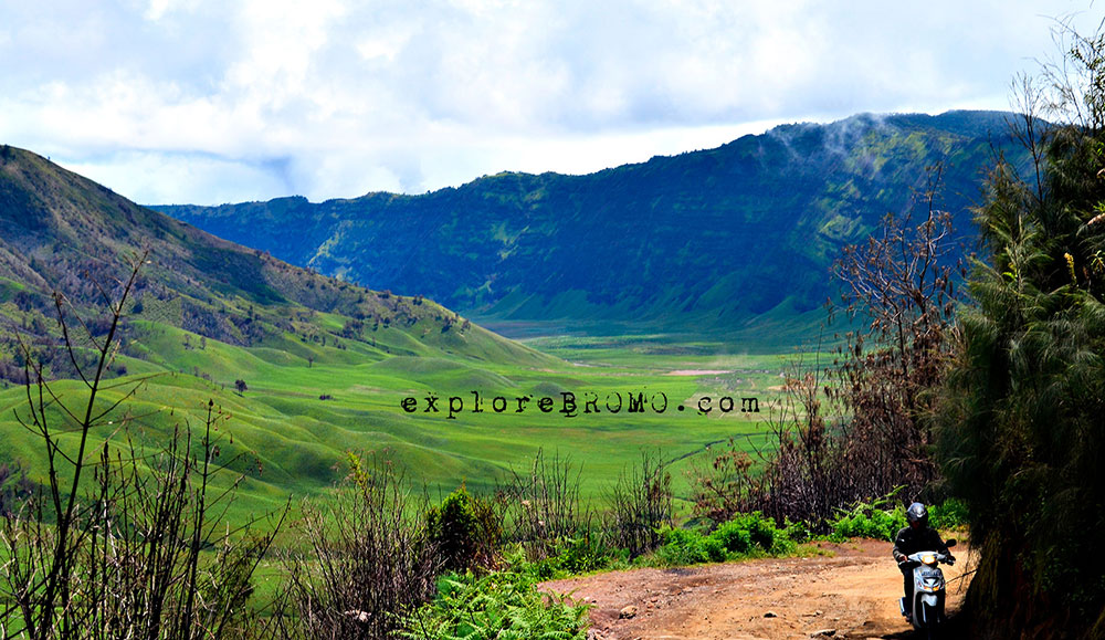 Spot Photo Populer Bukit Teletubbies Di Padang Savana Bromo Wisata