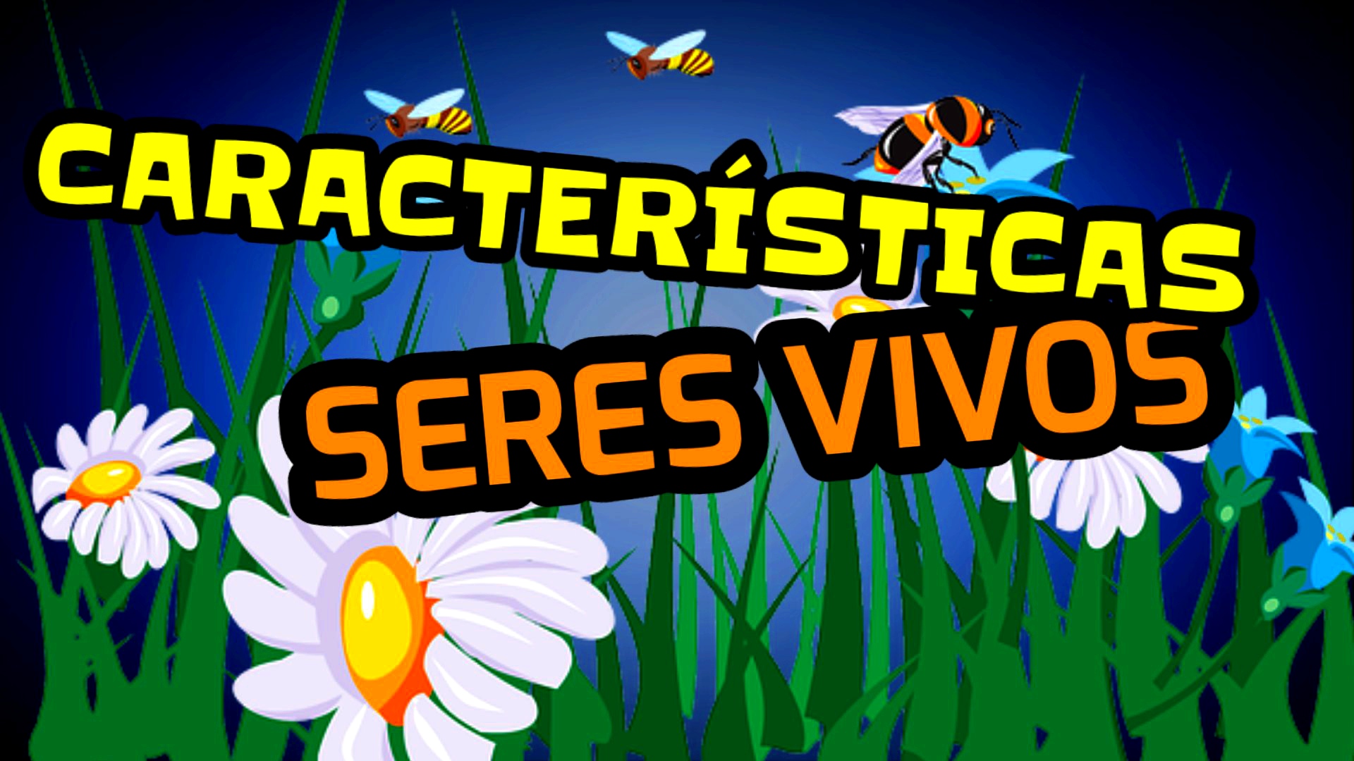 Características Comunes De Los Seres Vivos