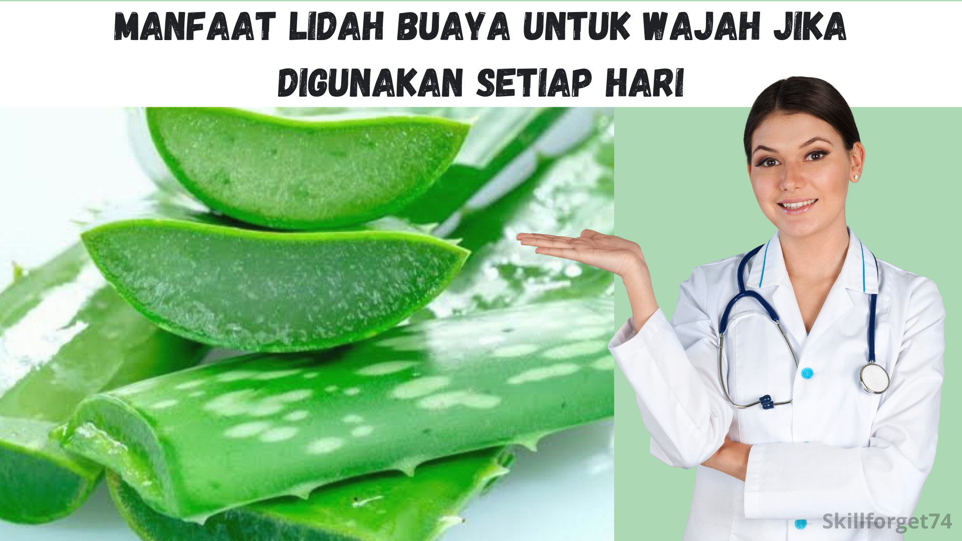 Manfaat Lidah Buaya Untuk Wajah Jika Digunakan Setiap Hari Skillforget74