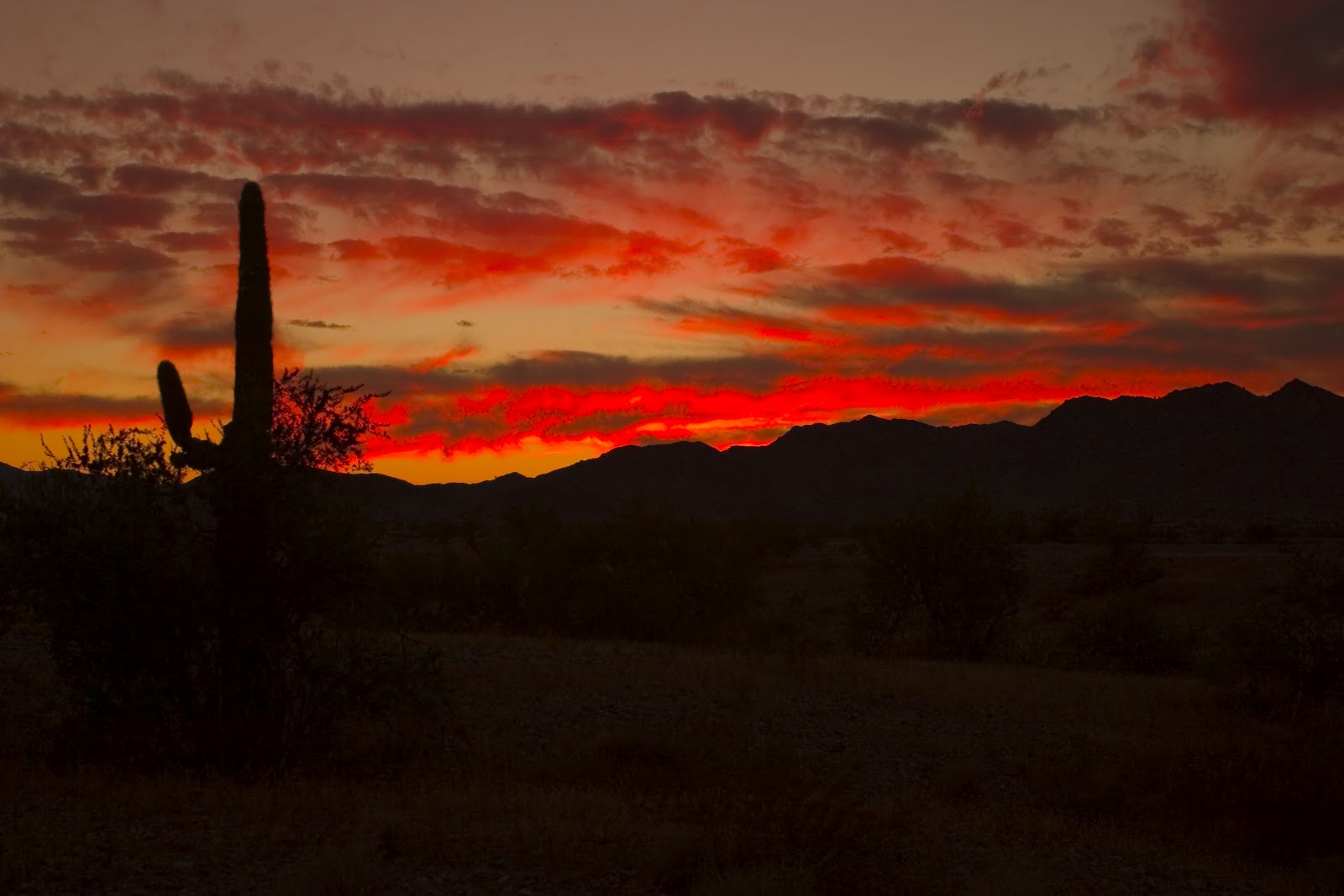 Desert Messenger Quartzsite Az Sunrise Over Quartzsite Photos By