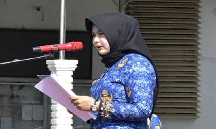 Hut Korpri Ke 52 Wabup Madina Perkuat Persatuan Dan Kesatuan