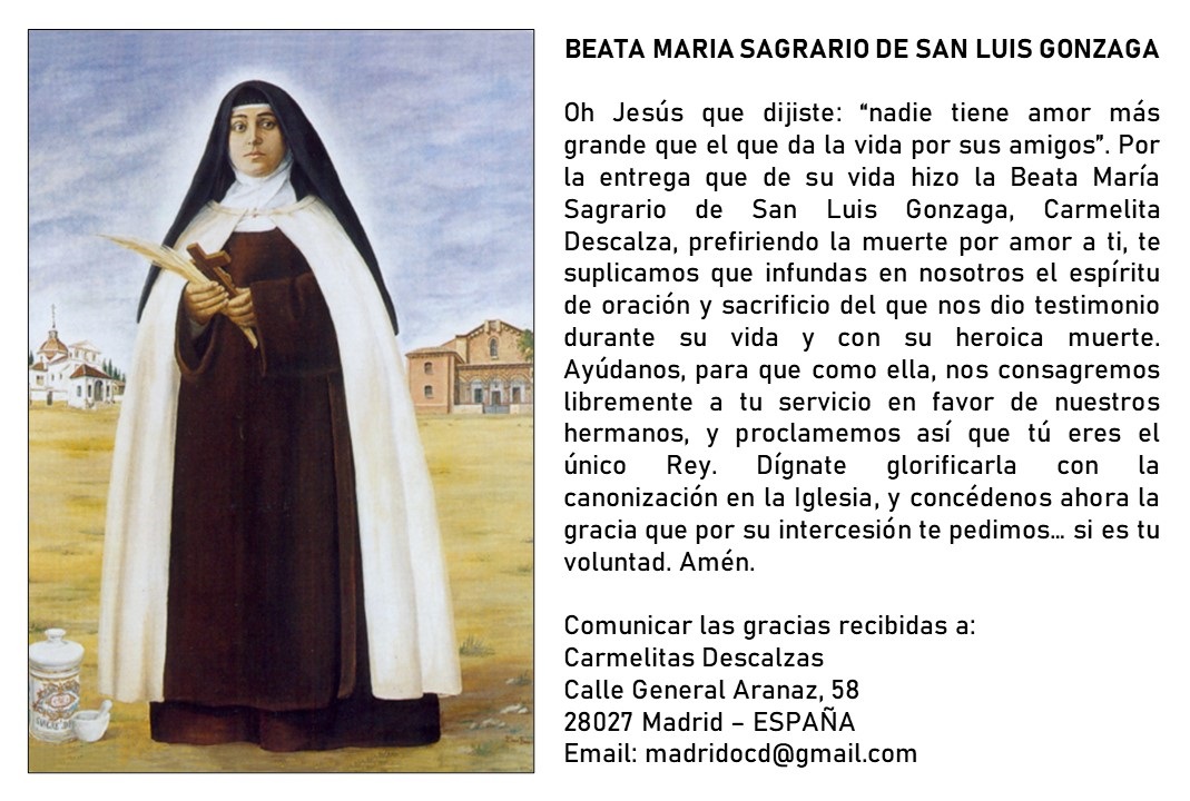 Santidad Carmelitana Cuando Los Santos Son Amigos Maria Sagrario De