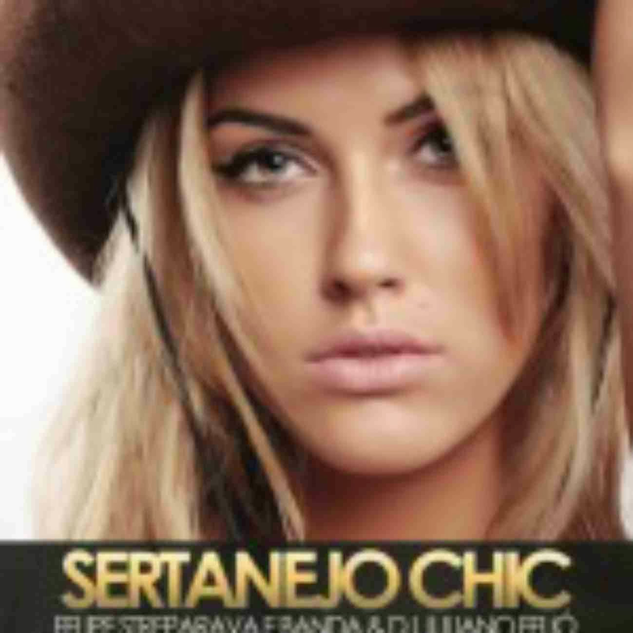 Músicas Gaúchas Bandinhas E Sertanejas Sertanejo Chic Dez Vol18 2014