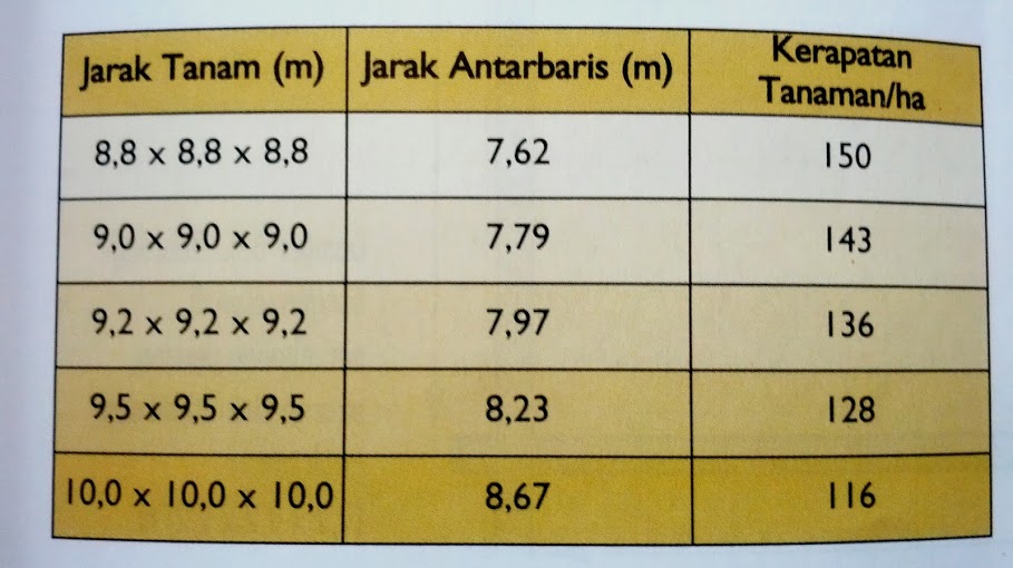 Menentukan Jarak Dan Kerapatan Tanaman Sawit Tanaman Komoditas Unggulan