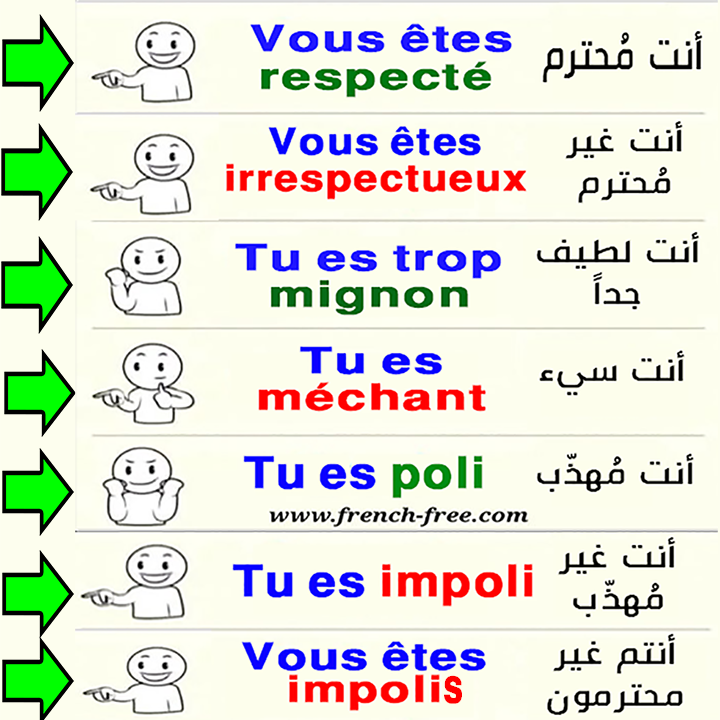 S2 الدرس 49 تعلم اللغة الفرنسية يومياً بسرعة 5 جمل هامة في دقيقتين