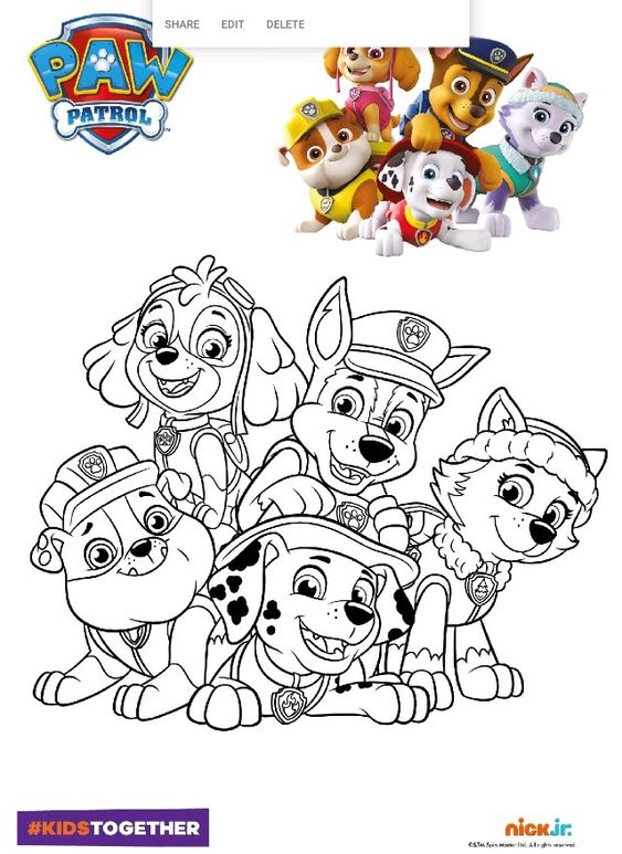 El Rincon De La Infancia Dibujos De Paw Patrol Para Pintar