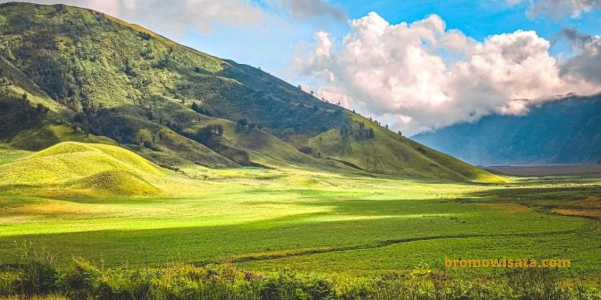 Bukit Teletubbies Savana Rumput Hijau Gunung Bromo