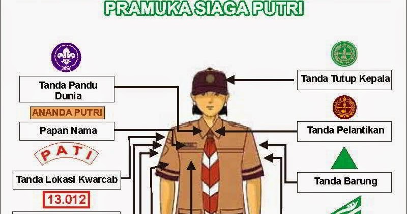 30 Trend Terpopuler Seragam Pramuka Siaga Perempuan