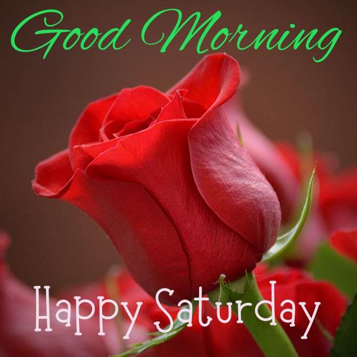 50 Happy Saturday Good Morning Wishes With Hd Images And Pictures