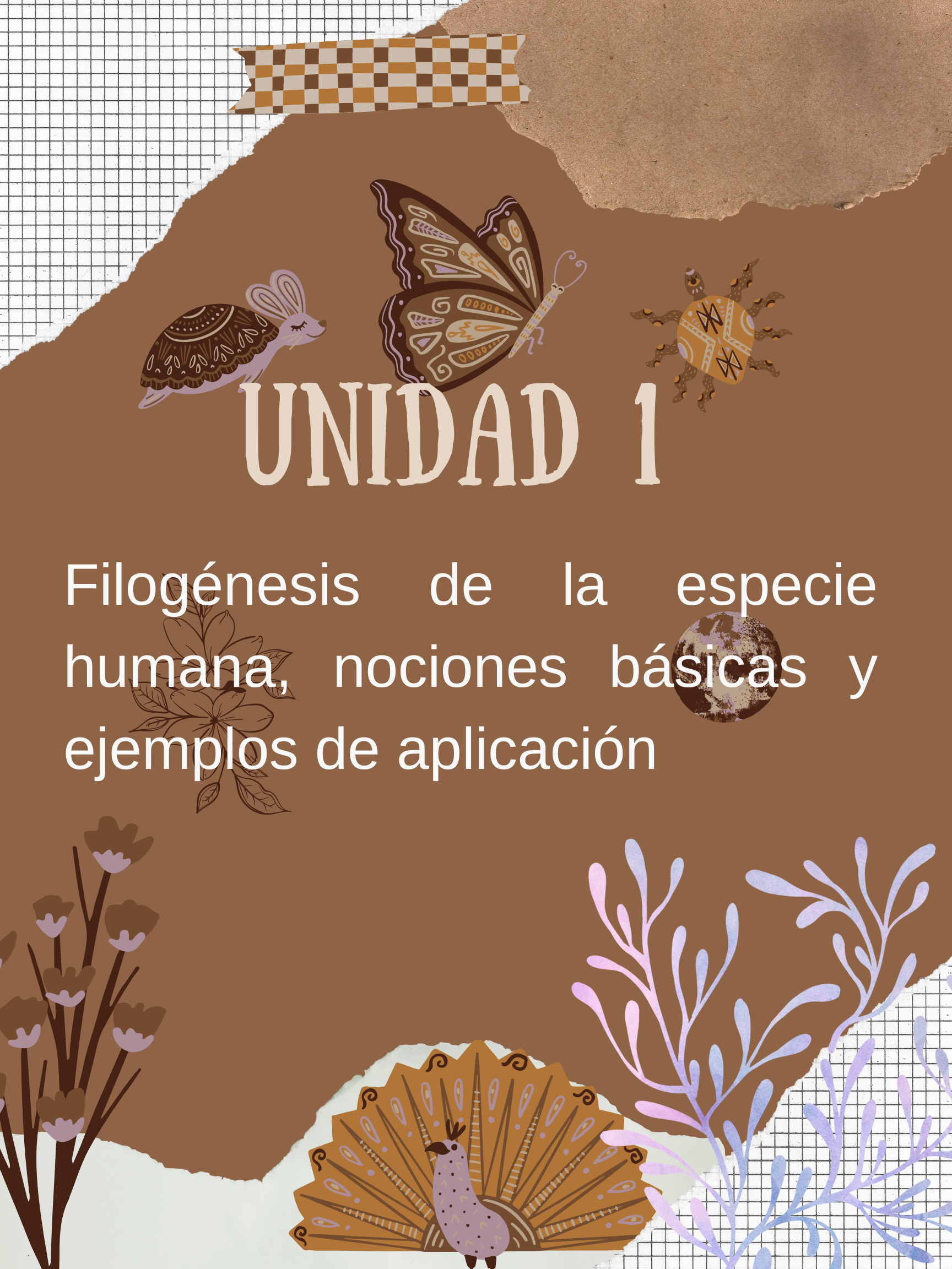 FilogÉnesis De La Especie Humana Nociones BÁsicas Y Ejemplos De AplicaciÓn