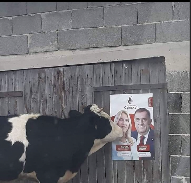 Slobodan Vasković Sa Druge Strane Foto Dana Šarava