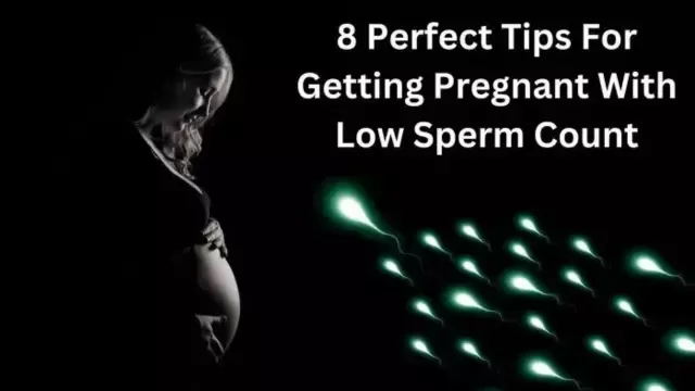 8 Perfect Tips For Getting Pregnant With Low Sperm Count Million