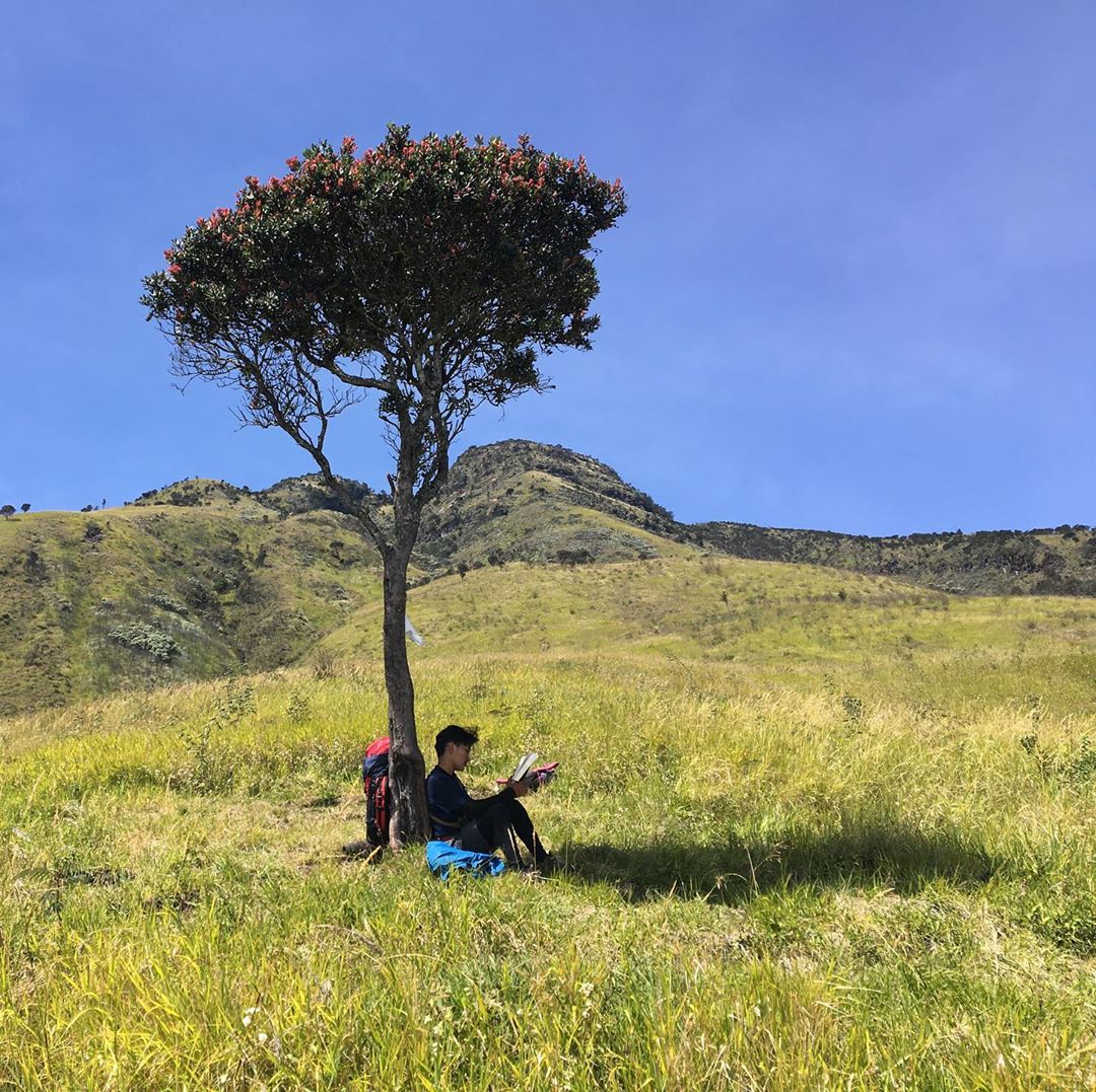 Porter Guide Lamuk Gajah Mungkur Gunung Sumbing Dengan Savana Yang