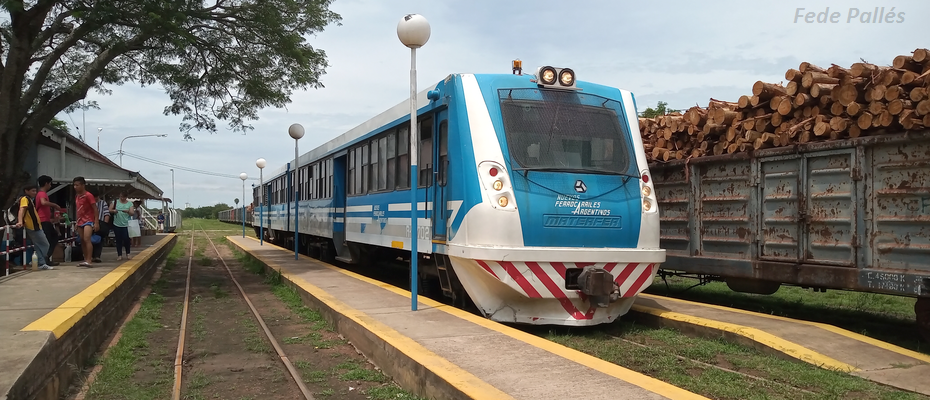 Elecciones Generales La Provincia Garantiza El Transporte Gratuito En