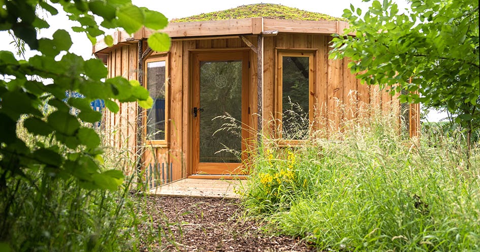 Shedworking How To Look After The Green Roof On Your Garden Office