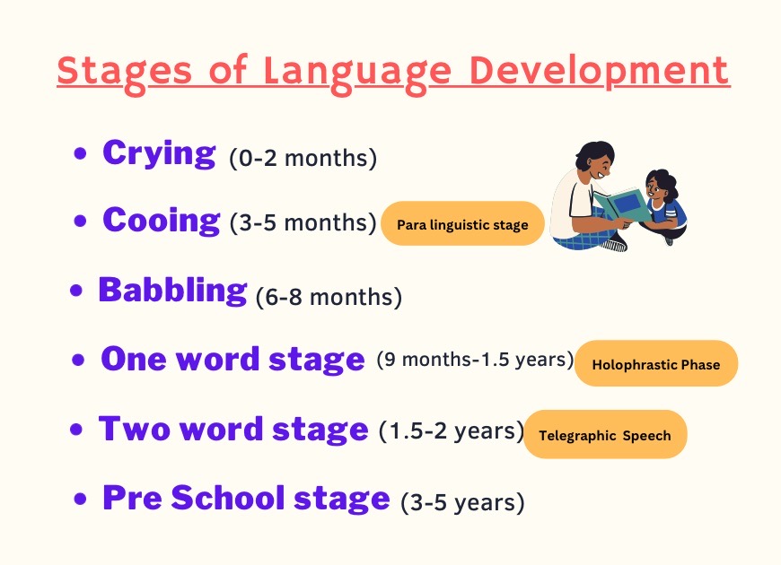 Five Stages Of Language Development