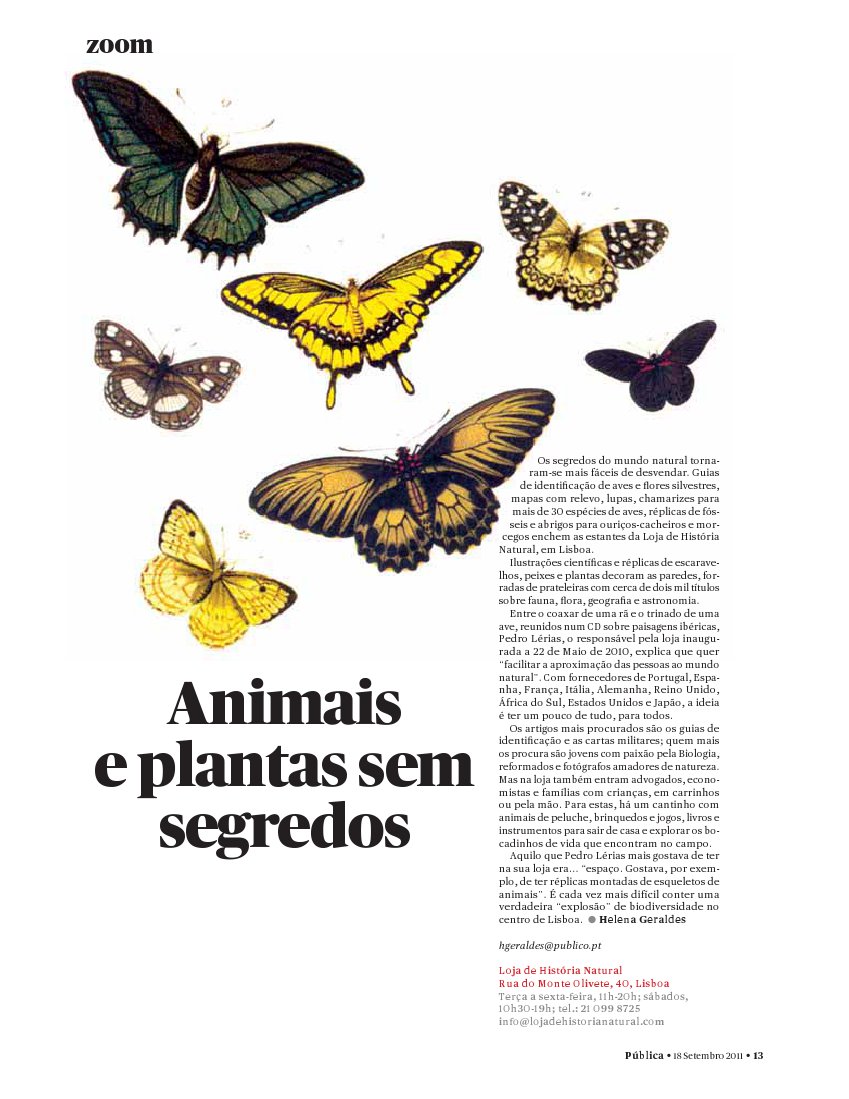 Loja De História Natural A Loja Na Revista Pública