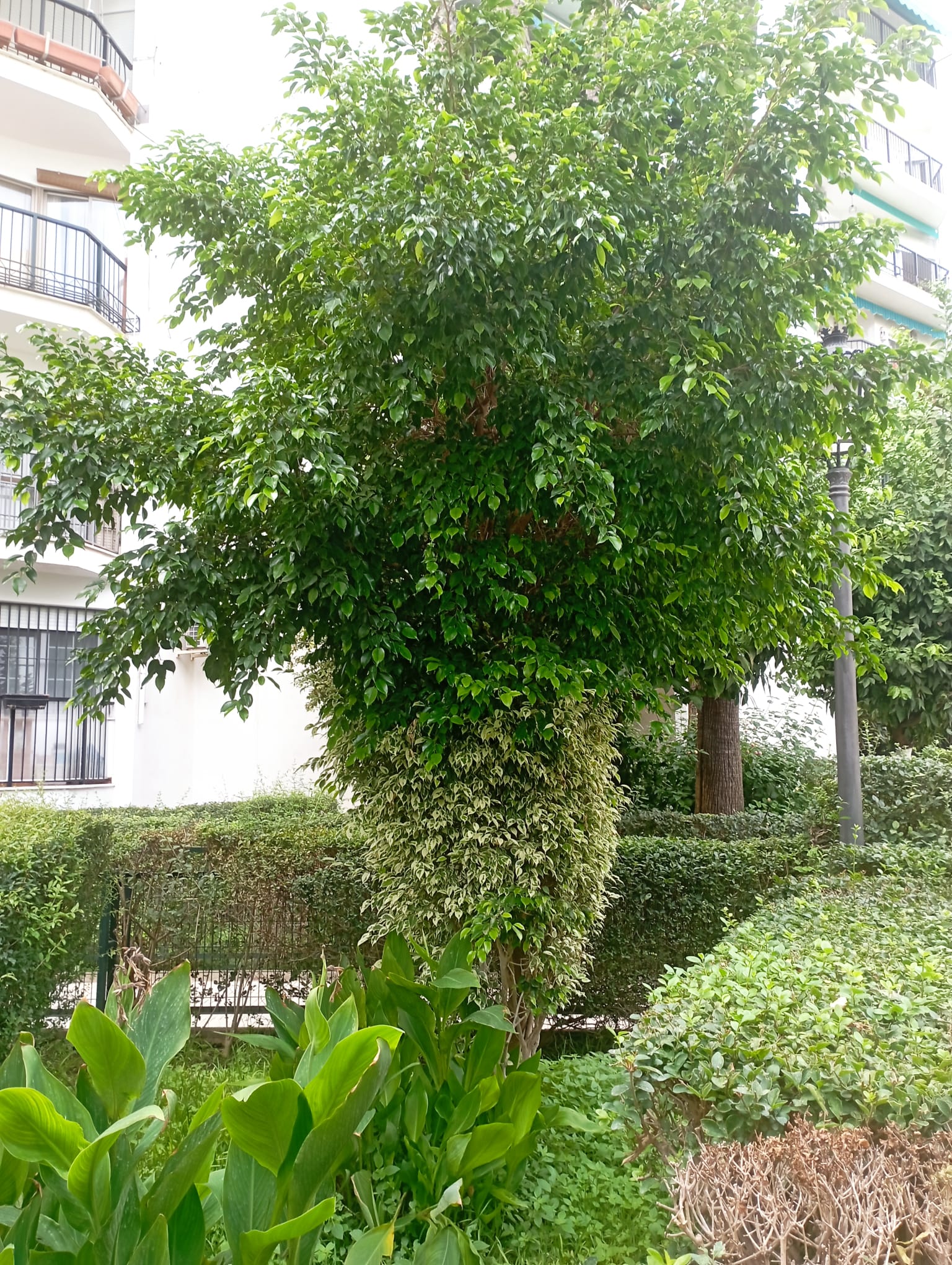 La Decima Aula De La Experiencia Universidad De Sevilla El Arbol De