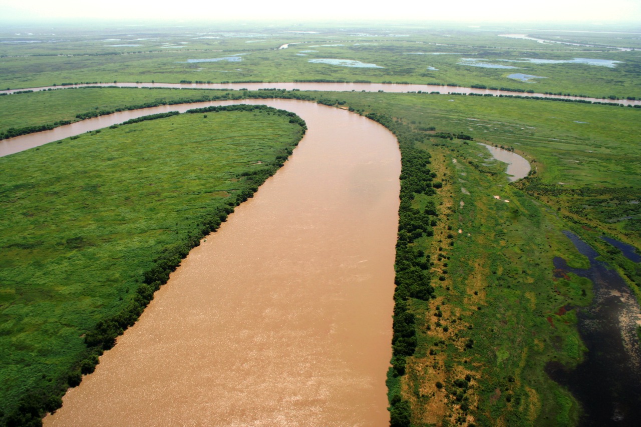 Ecosistema Biotico Humedales Del Delta Del Paraná Acciones