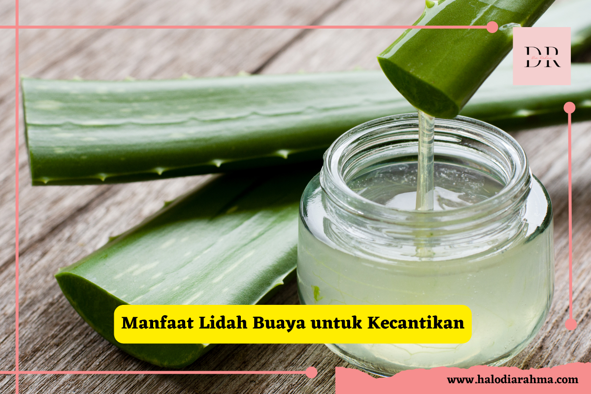 Lima Manfaat Lidah Buaya Untuk Kecantikan