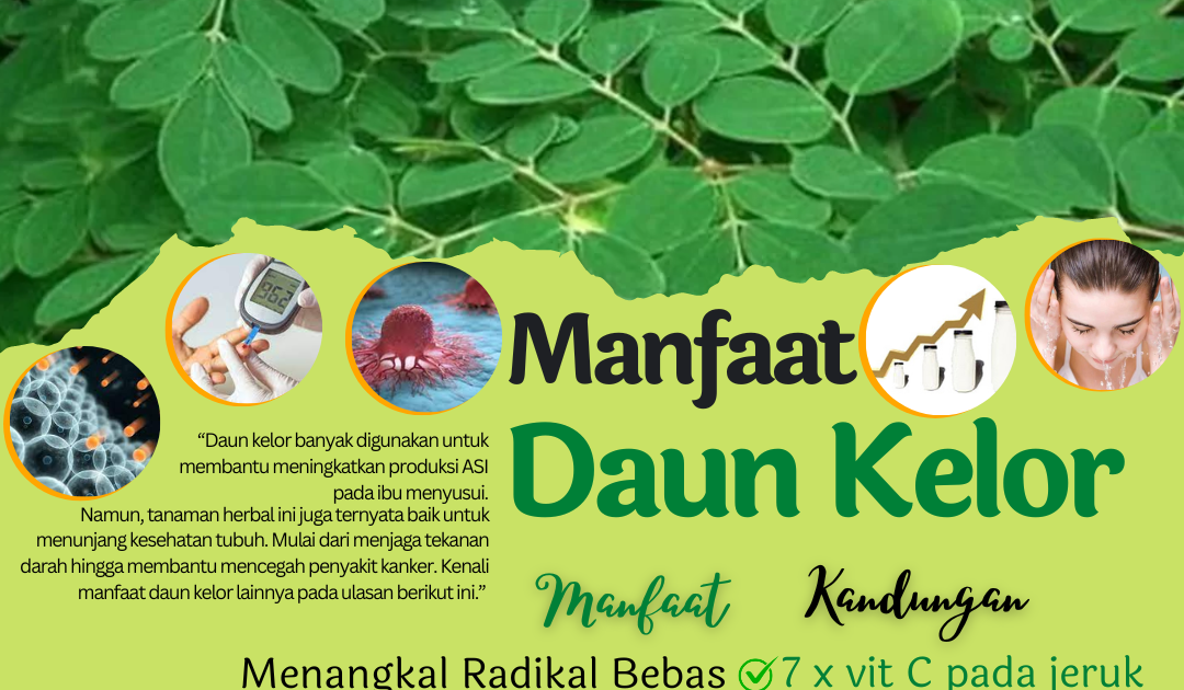 Manfaat Daun Kelor Bagi Kesehatan Liang Solusi