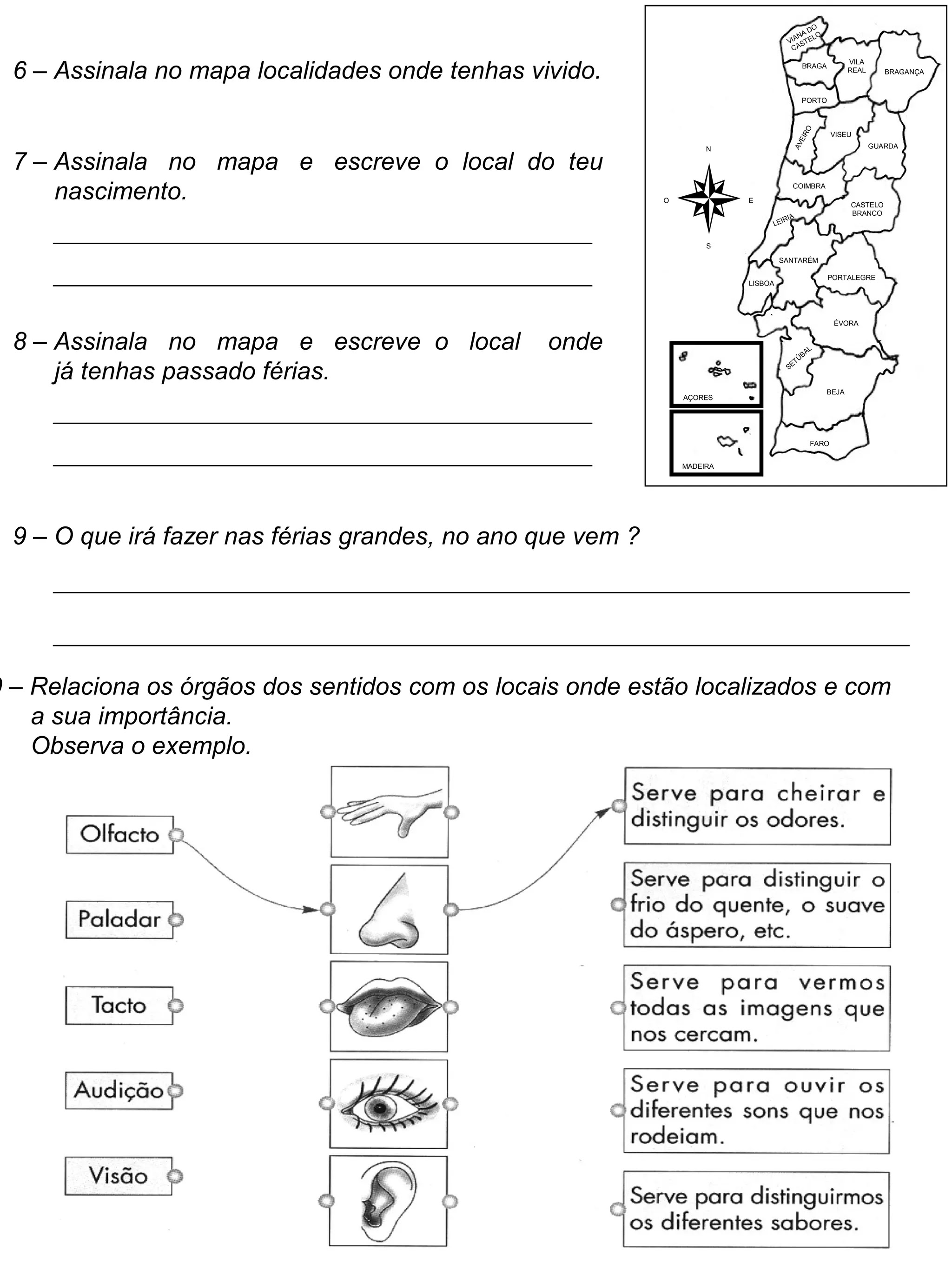 Fichas De AvaliaÇÃo Mensal De Estudo Do Meio Do 2º Ano