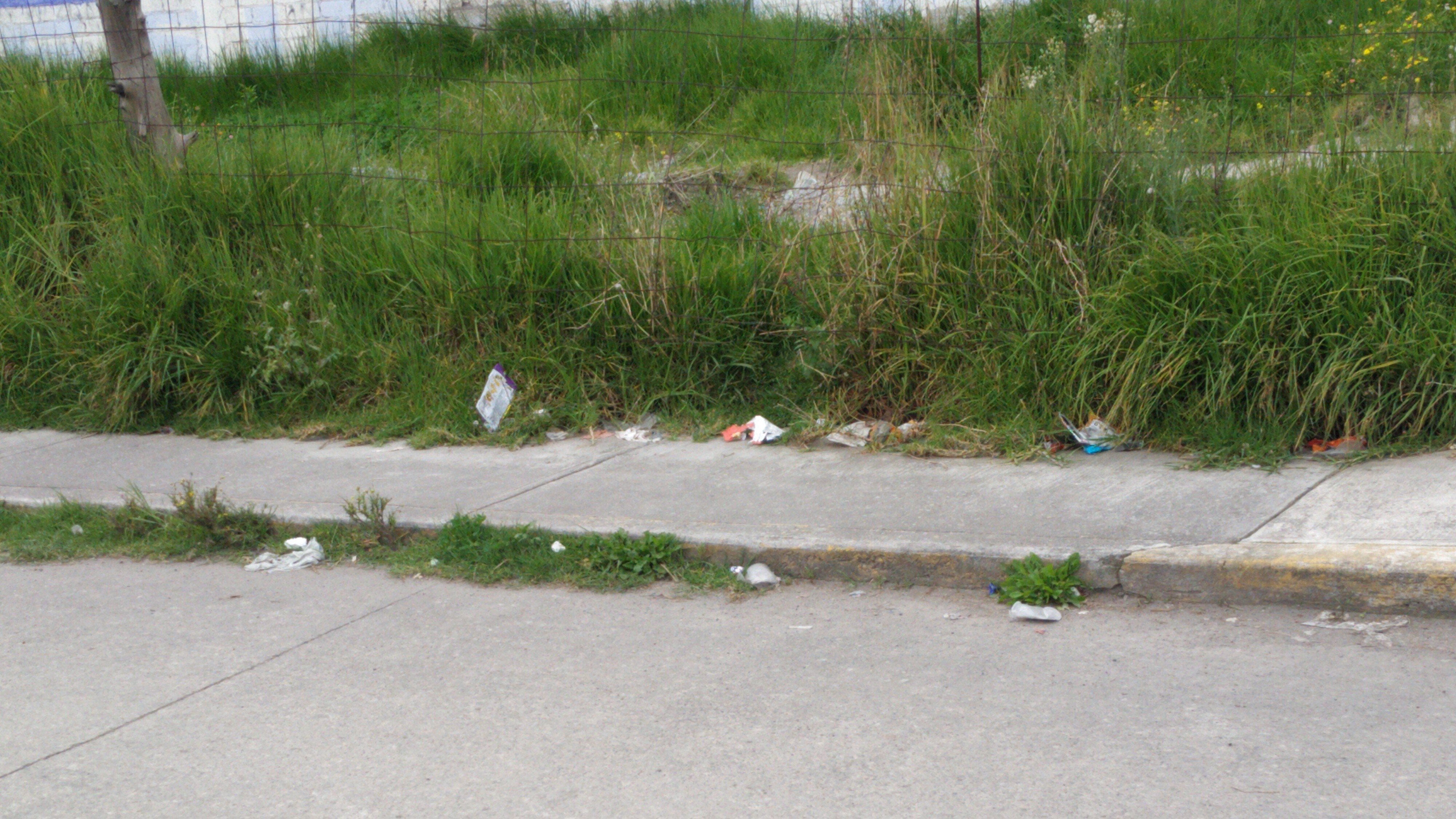 El Problema De La Basura Tirada En Las Calles De Nuestra Comunidad