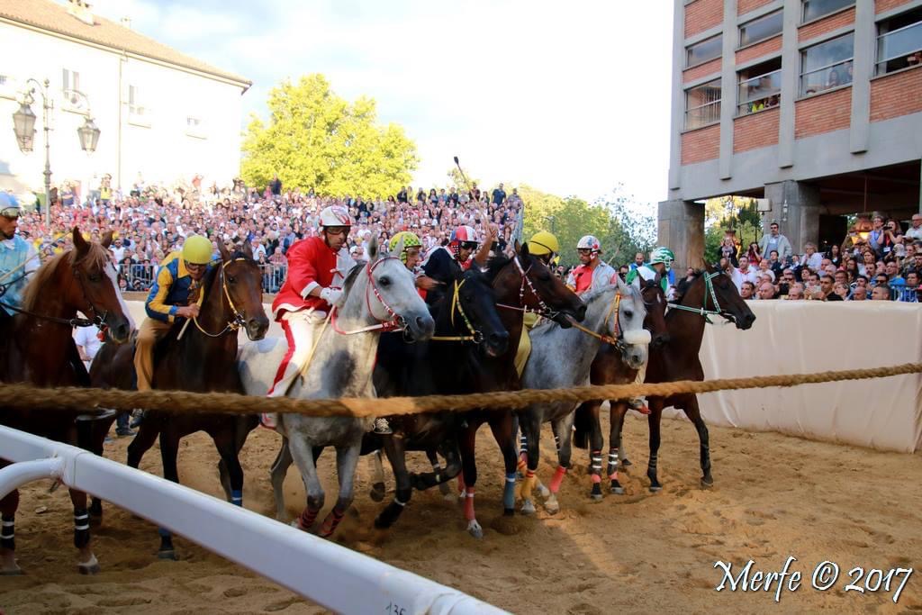 Il Canapo Linformazione Del Palio Di Asti On Line Consiglio Del