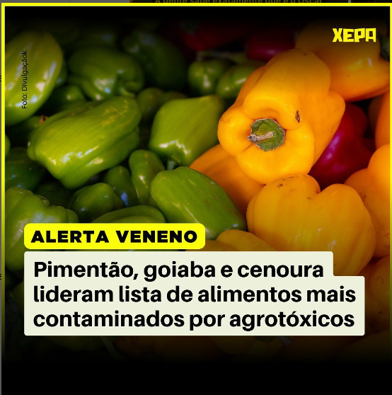 Levantamento Aponta Os Alimentos Mais Contaminados Com AgrotÓxicos No