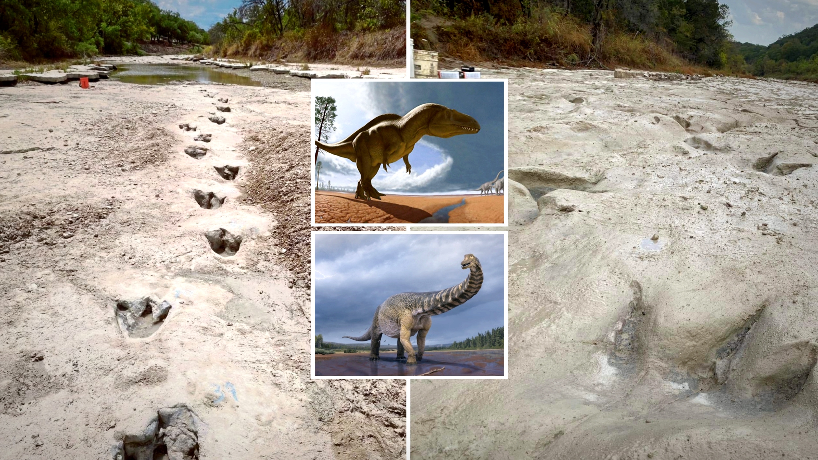 Tapak Kaki Dinosaur Sejak 113 Juta Tahun Dahulu Ditemui Di Dasar Sungai