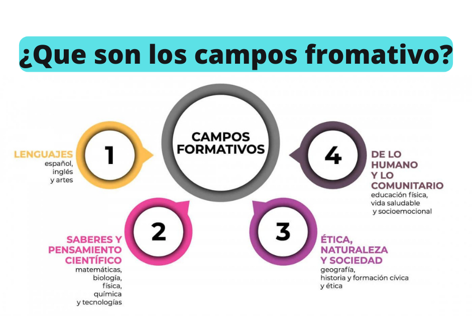 ¿que Son Los Campos Formativos