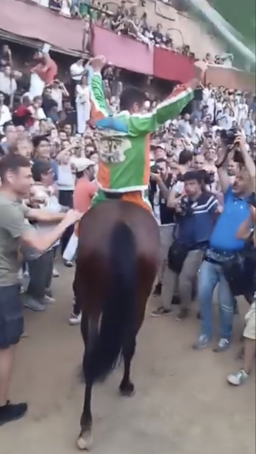 Il Canapo Linformazione Del Palio Di Asti On Line Palio Di Siena