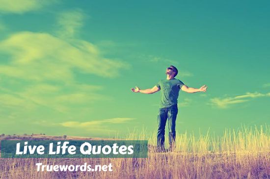 33 Best Live Life Quotes True Words