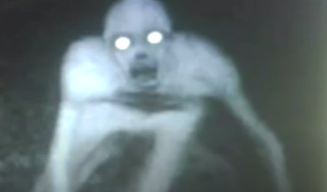 Rmso Bigfoot Compilation Of Mysterious And Unidentified Creatures Found