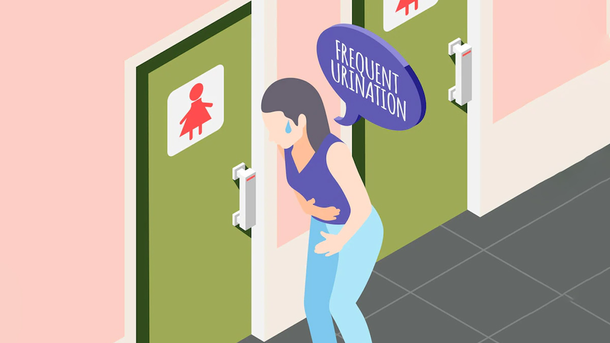 Managing Frequent Urination During Pregnancy Causes And Solutions