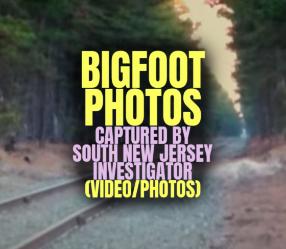 Bigfoot Photos Captured By South New Jersey Investigator Videophotos