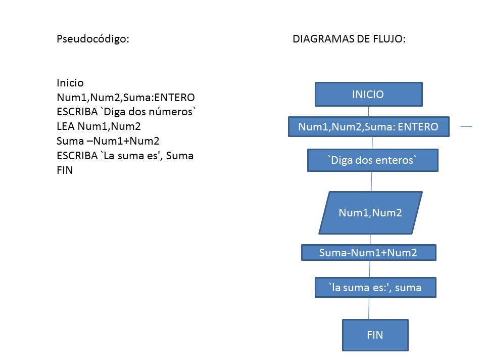 Pseudocódigo Tema2