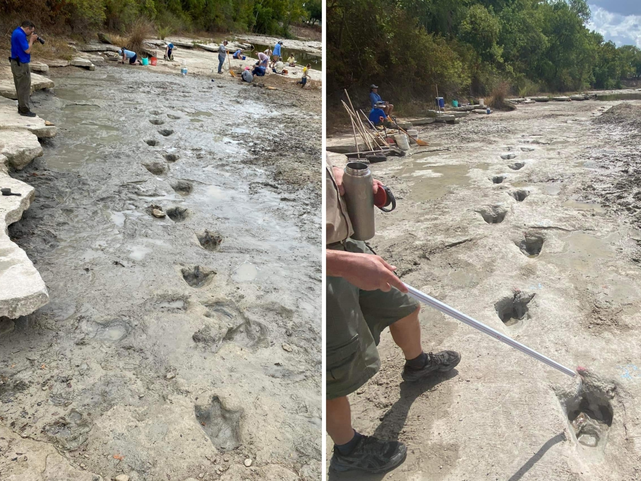 Tapak Kaki Dinosaur Sejak 113 Juta Tahun Dahulu Ditemui Di Dasar Sungai