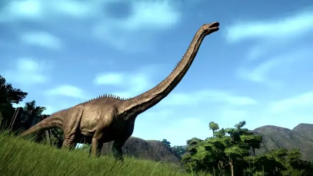 60 Interesting Facts About Diplodocus