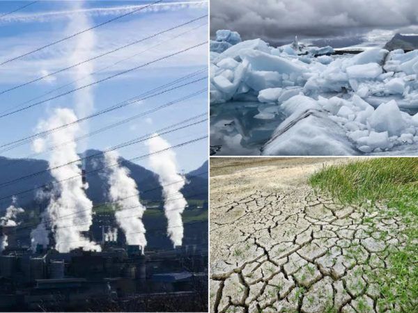 Consecuencias Del Calentamiento Global Al Medio Ambiente