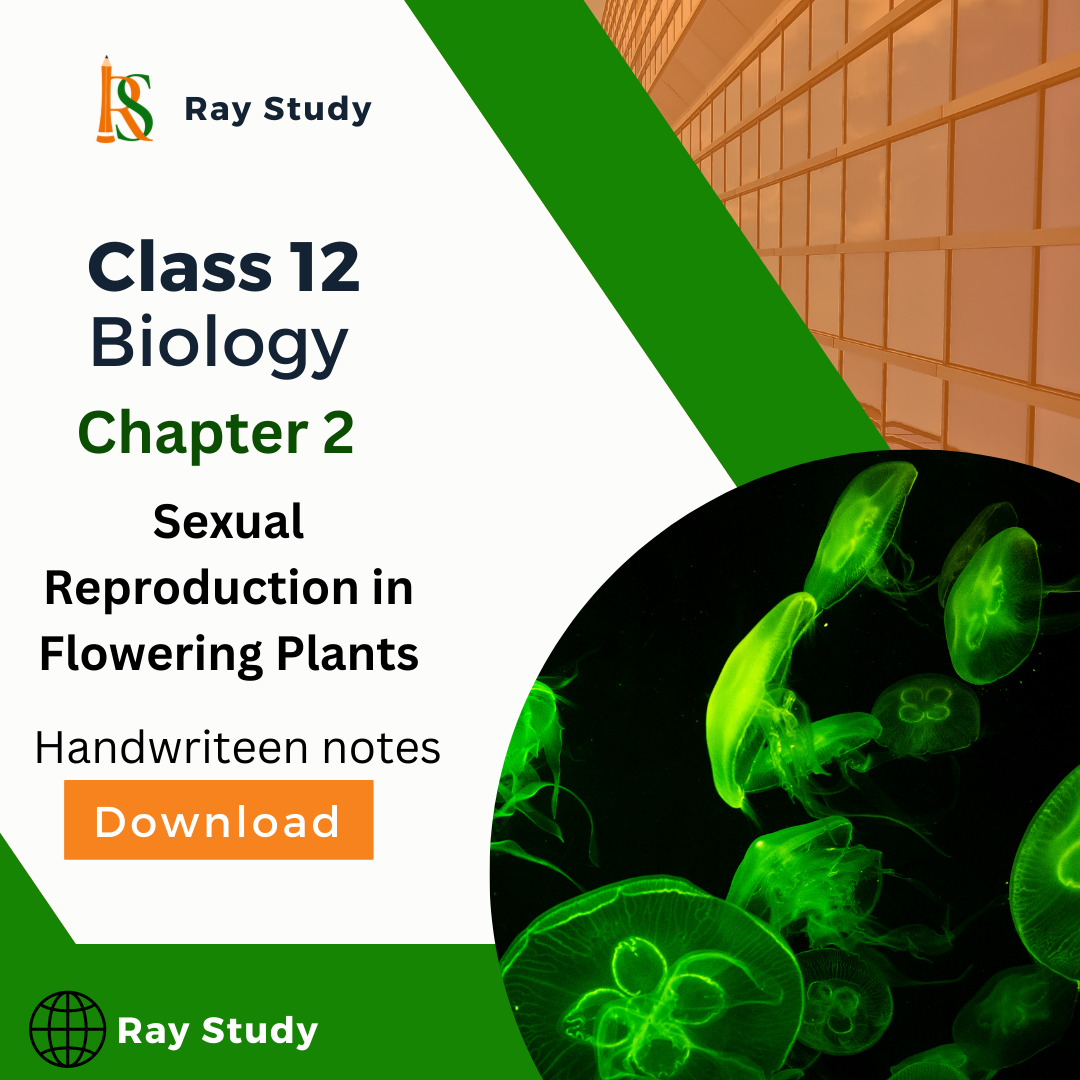 Class 12 Biology Chapter 2 Sexual Reproduction In Flowering Plants