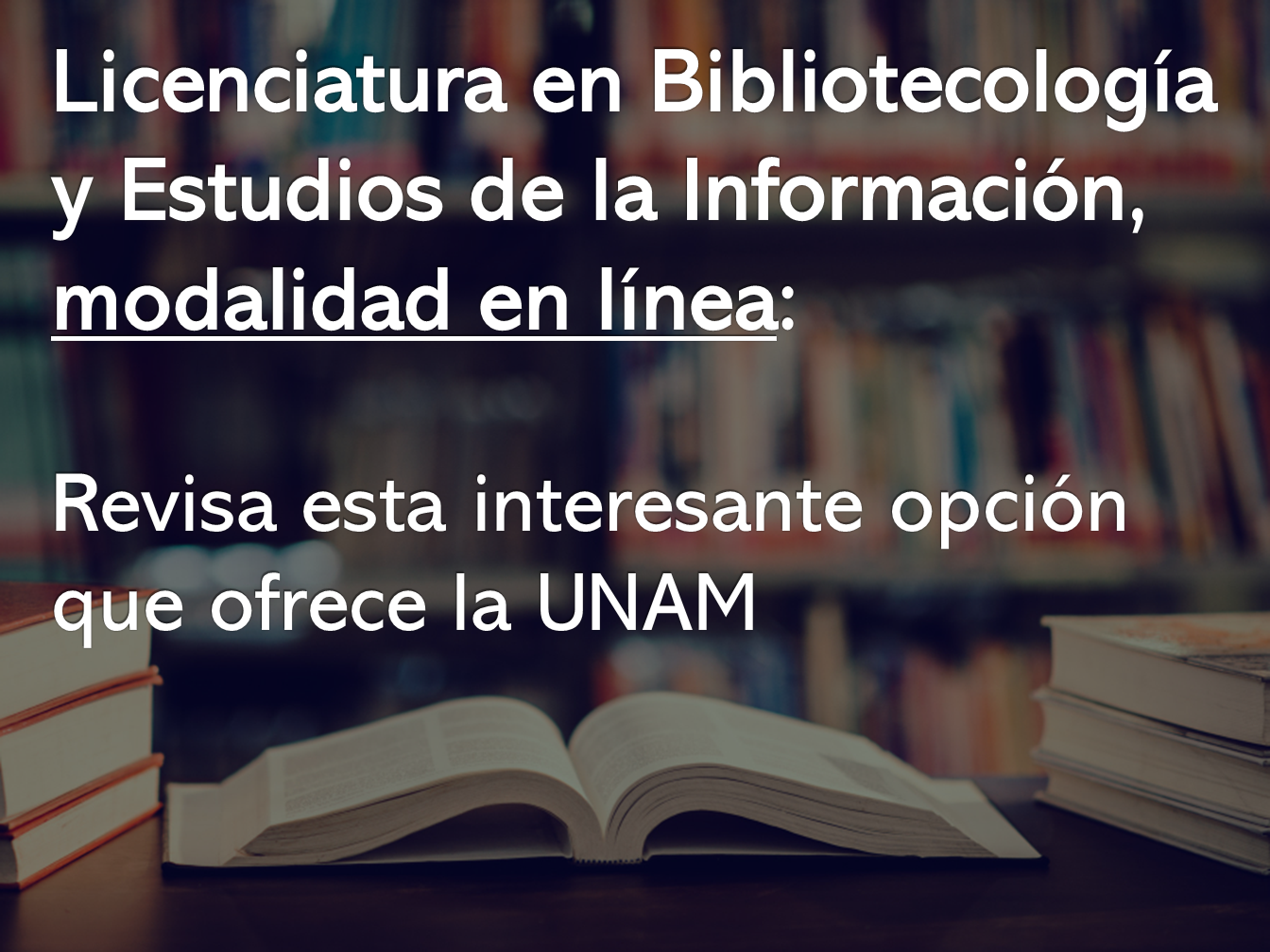 Mi Educación En Línea Licenciatura En Bibliotecología Y Estudios De La