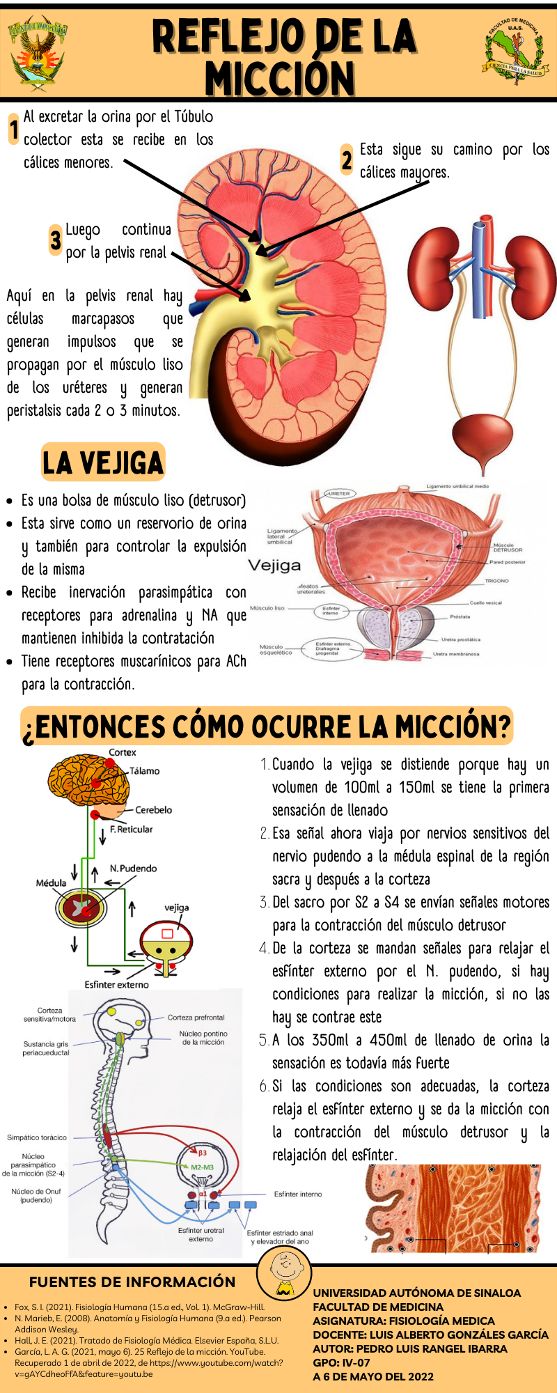 InfografÍa 31 Reflejo De La MicciÓn Evidencia De Tipo Individual