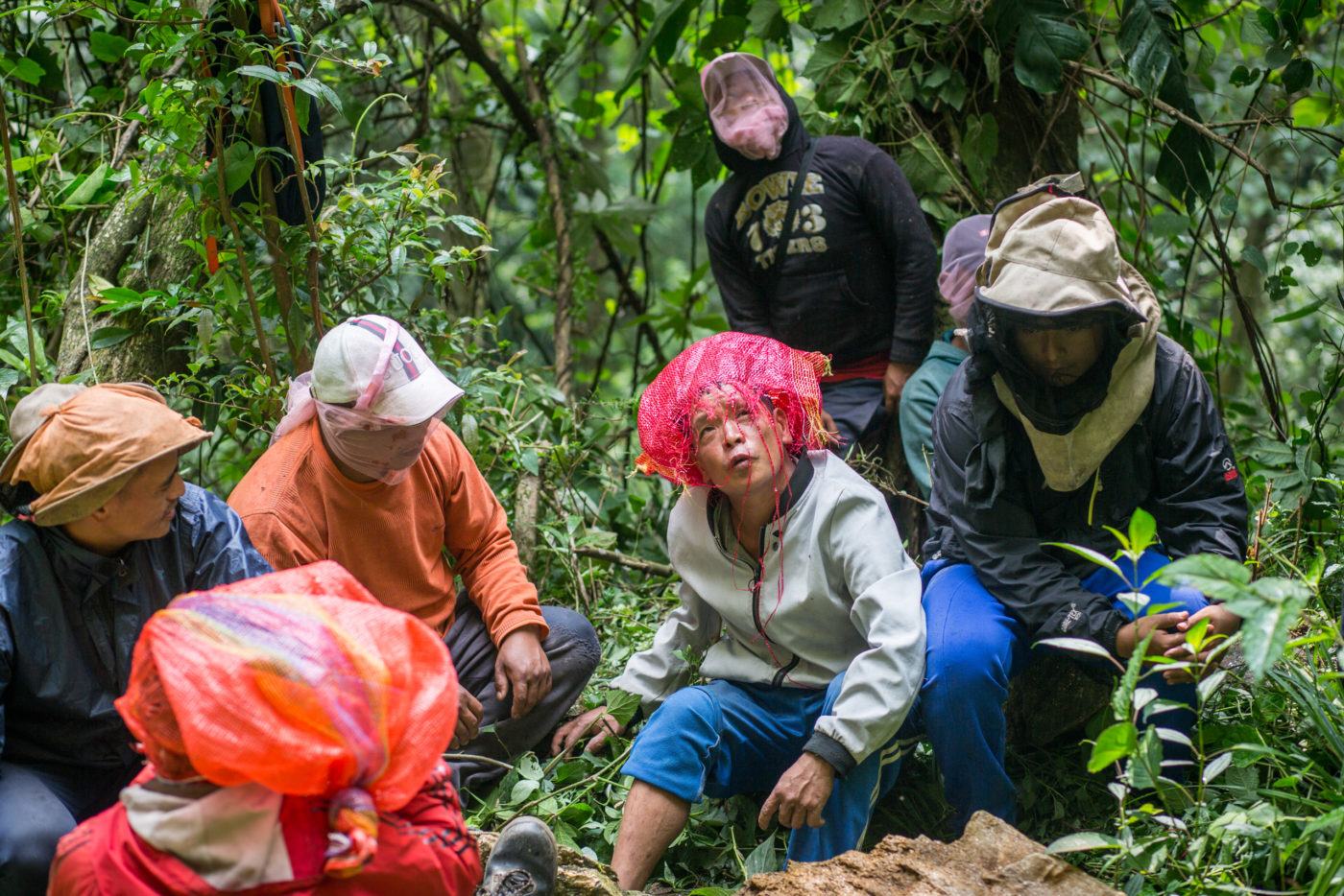 Honey Hunting In Nepal Skills And Techniques Gyan Kunja