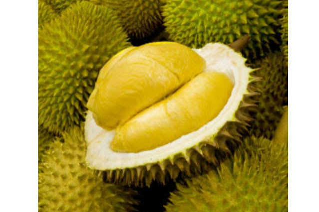 Types Of Malaysia Durians Now Asia